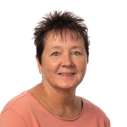 Our Firm | Shultz Huber & Associates, Inc.